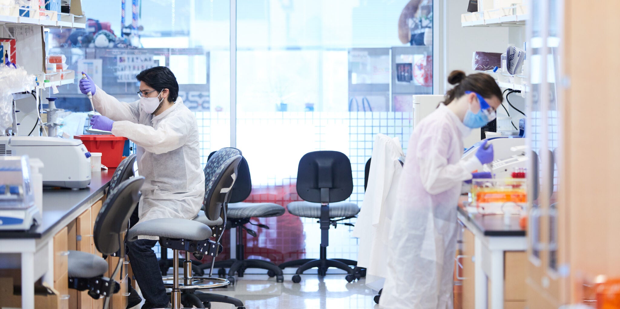 Department of Genetics - Washington University School of Medicine ...